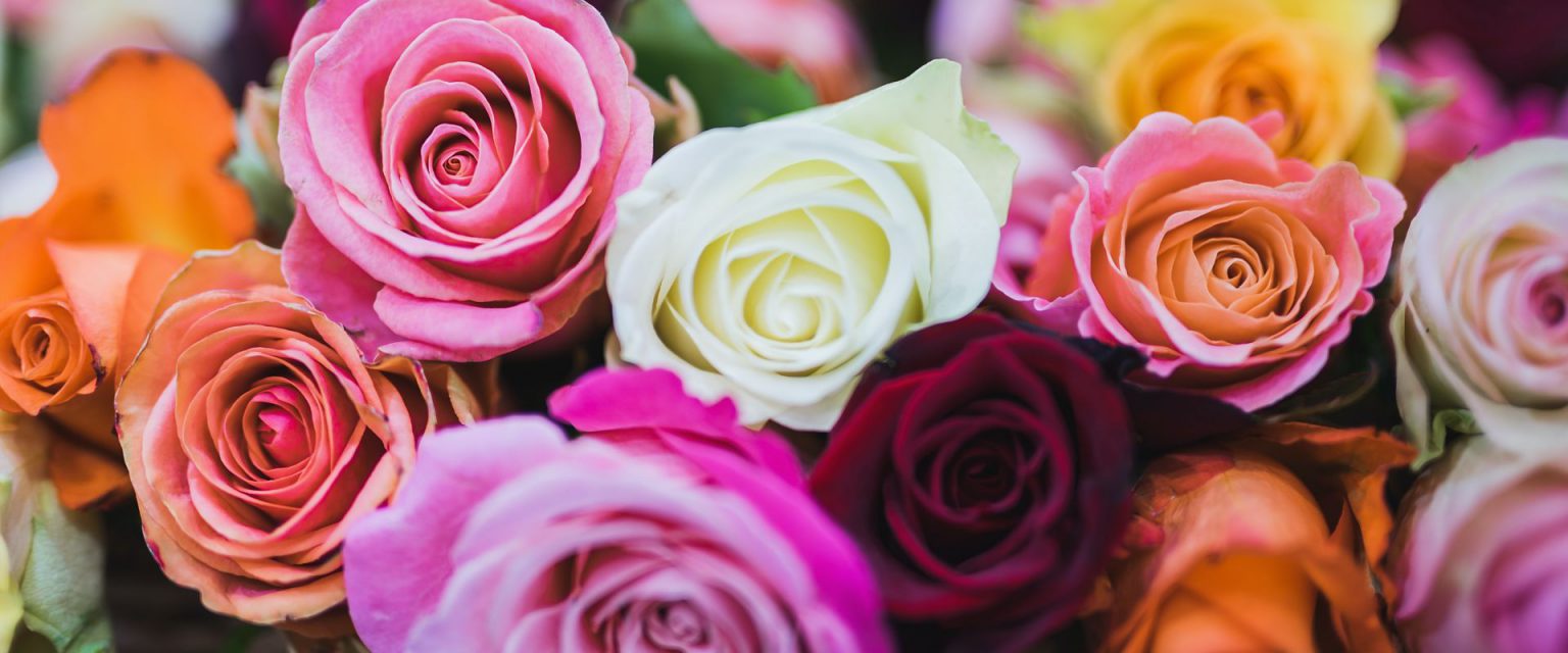 PREPARE/ENRICH Premarital Counseling Core Package